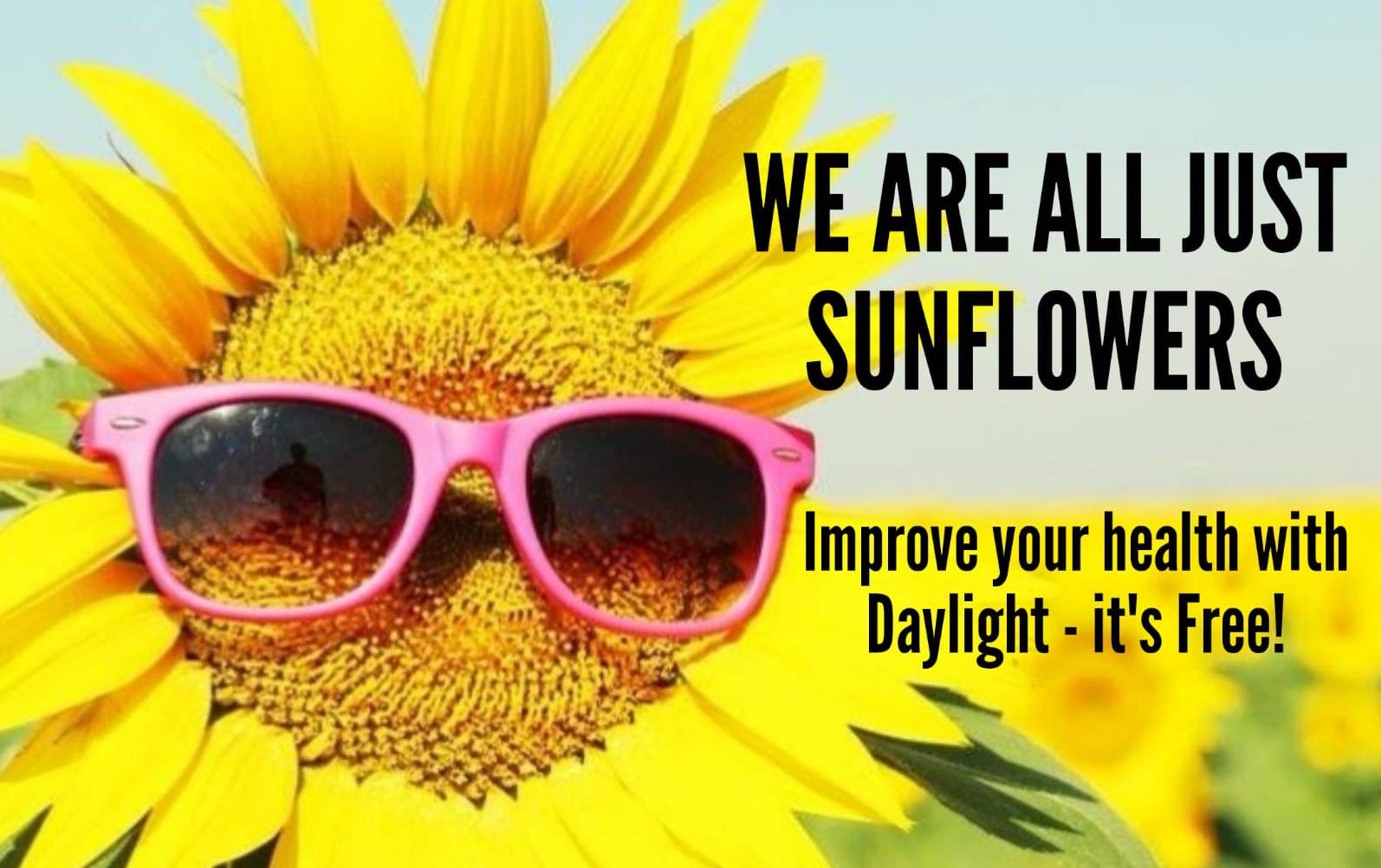 The importance of daylight - Larry Doyle Online Coaching